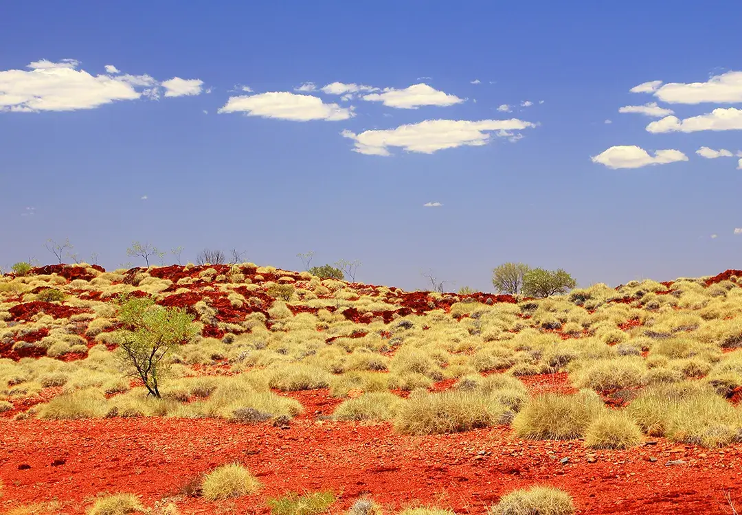 History | Martu Waru